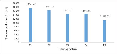 Effect Of Planting Pattern And Row Spacing On Biomass Yield Download Scientific Diagram