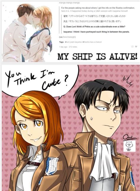 Pin On Attack On Titan