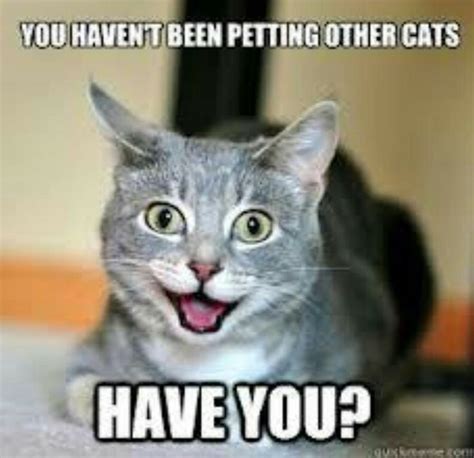 Funny Cat Meme Lol