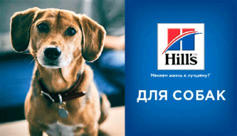 Корма Hill’s для собак (Хиллс): отзывы, состав, для щенков и взрослых ...