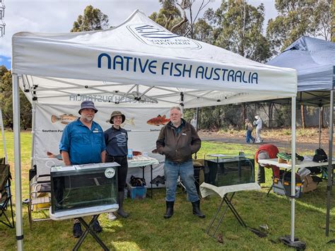 Native Fish Australia Nfa Vic Doncaster Vic