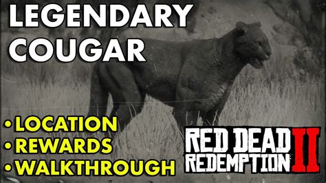 Red Dead Redemption 2 Legendary Cougar Location Rewards Walkthrough Youtube