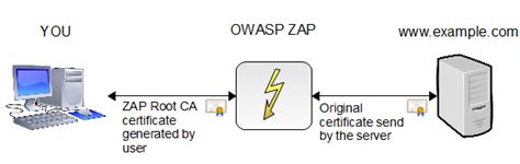 owasp zap