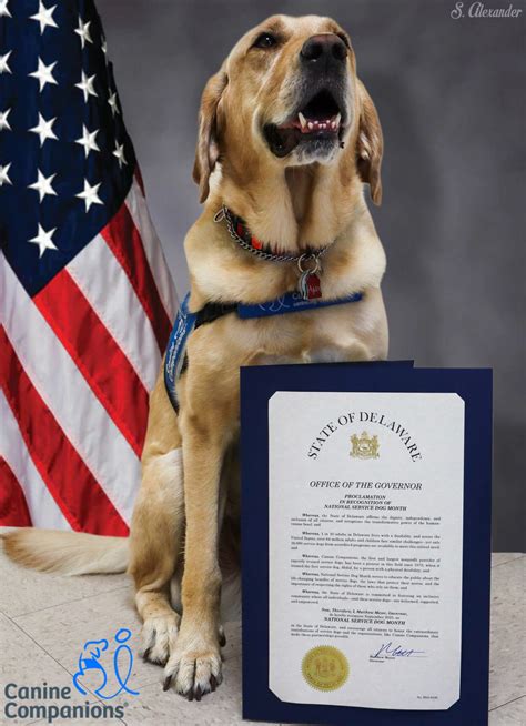 Doj Announces 25th Illicit Massage Establishment Shut Down In Wake Of