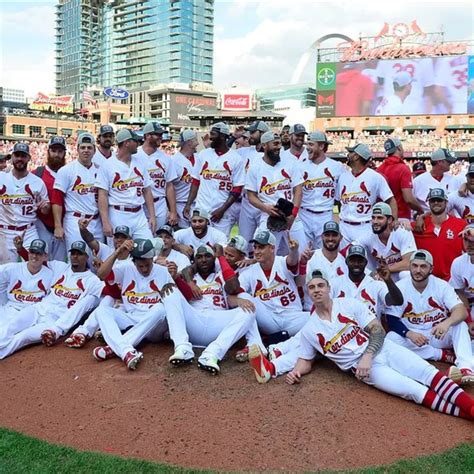 The St Louis Cardinals Cardinals Baseball Mlb Uniforms Cardinals