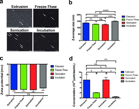 Isolation And Characterization Of Platelet Extracellular Vesicles Download Scientific Diagram