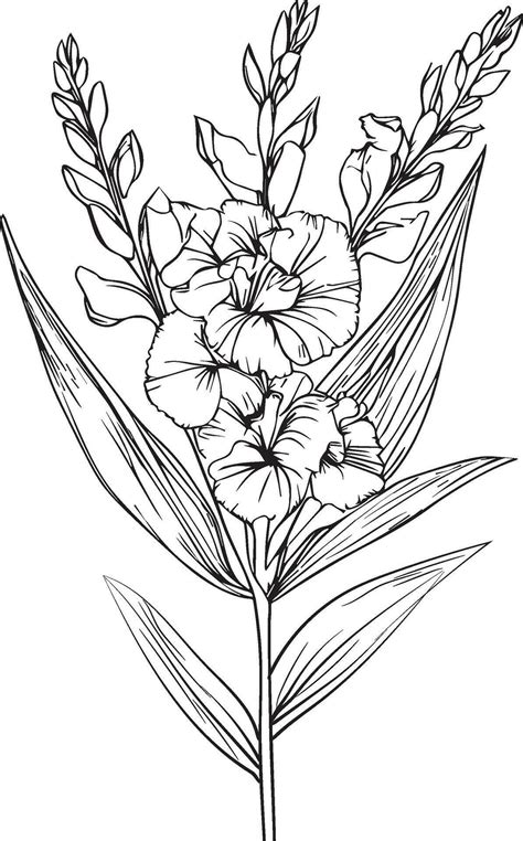 August Birth Flower Gladiolus Tattoo At Ronald Stinson Blog