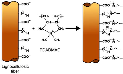 Electrostatic 1 And Iondipole Interactions 2 Of Pdadmac With
