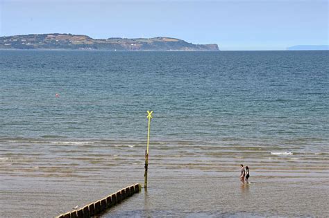 Poisonous Parsnip Warning After Dog Dies From Ingesting Unknown Toxin On Ballyholme Beach Poisonous Parsnip Warning After Dog Dies From Ingesting Unknown Toxin On Ballyholme Beach