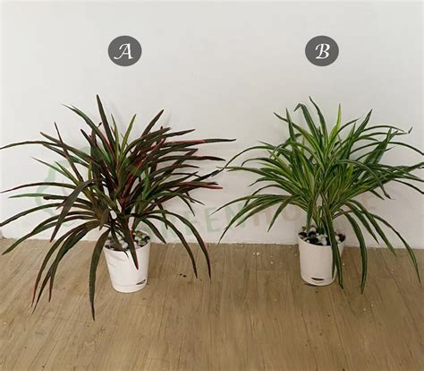 Green Artificial Small Yucca Plant Su 100 For Decoration Size 76cm At ₹ 620 Piece In New Delhi