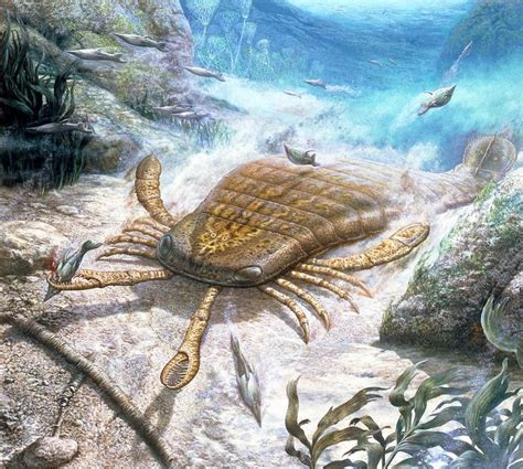 Silurian Period By John Sibbick Ископаемые Животные История