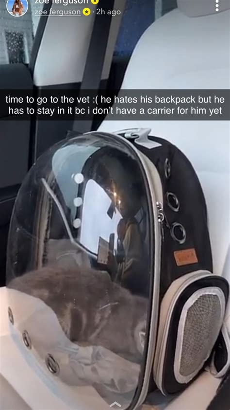 Backpack Kitty Ki11er Rzoefergusonsnark