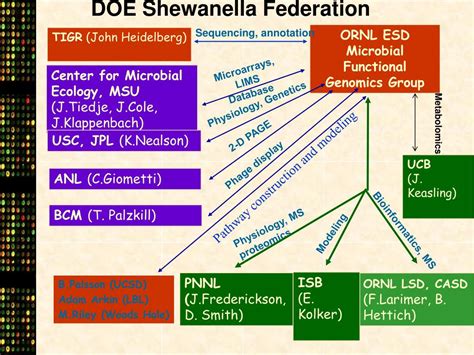 PPT Microbial Functional Genomics Genomic Technologies And Their Applications PowerPoint