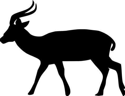 Kobus Kob By Augustin Brouillet Cc0 10 Phylopic