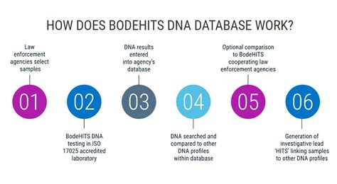 Bode Technology On Linkedin Forensics Rapiddna Dna