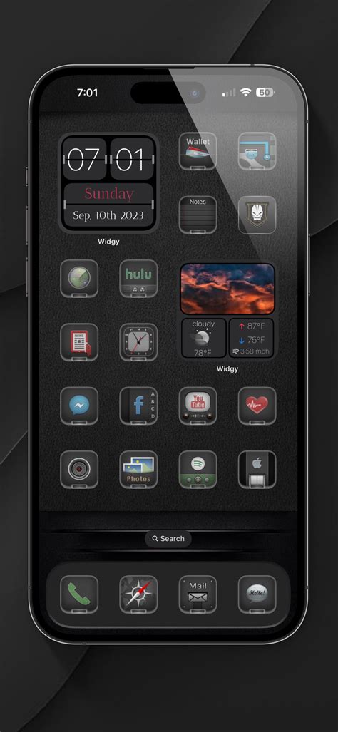 setup r widgy