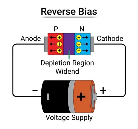 Understanding The Pn Junction Diode Principles Functionality And