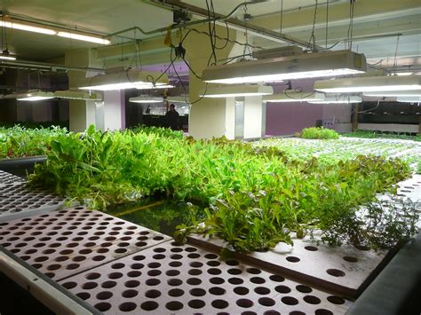 The Plant Aquaponics System Of Growing Plants With Just Flickr