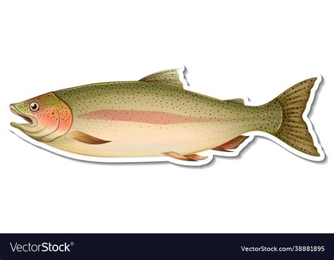 Salmon Fish Cartoon Sticker Royalty Free Vector Image