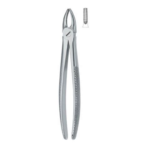 Incisors And Bicuspids 1 Papa Instruments