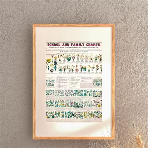 Classification Chart Etsy Classification Chart Etsy