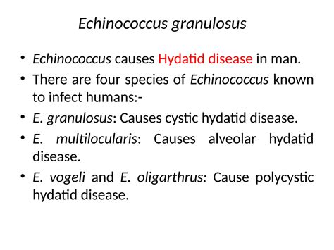 Echinococcus Granulosumpptx