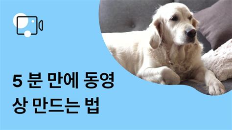 5 분 만에 동영상 만드는 법 비디오 편집 튜토리얼 2021 Youtube