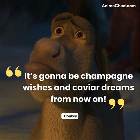 25 Iconic Shrek Quotes That Well Never Forget Animechad