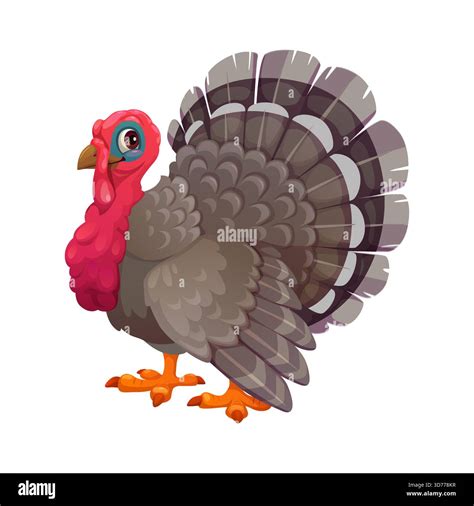 Cartoon Plump Turkey Character Thanksgiving Bird Mascot Cute Grey