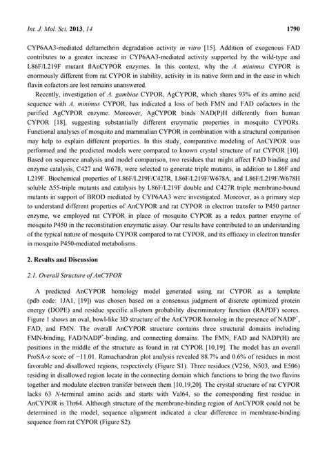 Solution Modeling Of Anopheles Minimus Mosquito Nadph Cytochrome P450