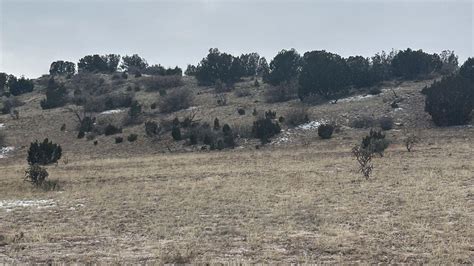 Tract 3 Moondance Ranch Road Las Vegas Nm 87701