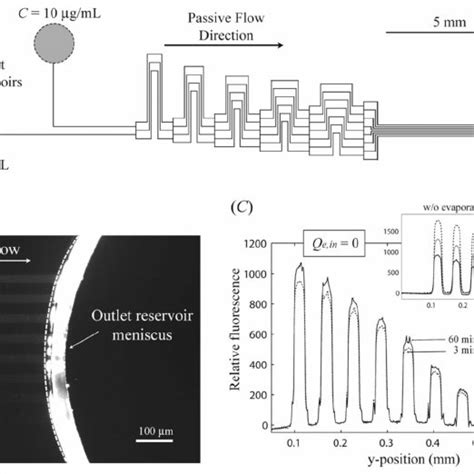 Pdf Passive Microfluidic Pumping Using Coupled Capillaryevaporation