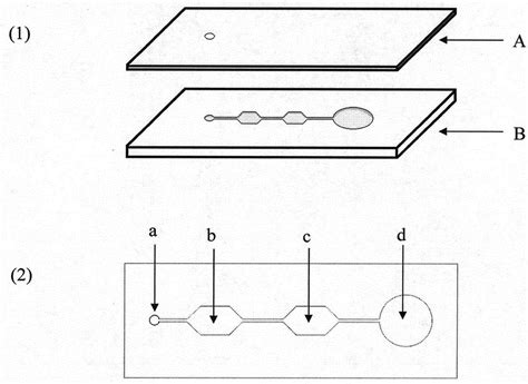 A Microfluidic Based Enzyme Inhibition Reaction Platform And Analysis