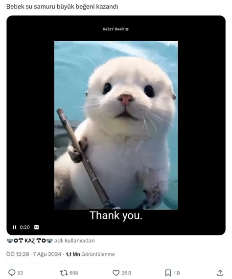 Videodaki Yavru Su Samuru Gerçek Mi Teyit