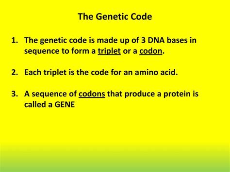 Chpt 16 Dna And Rna Ppt Download