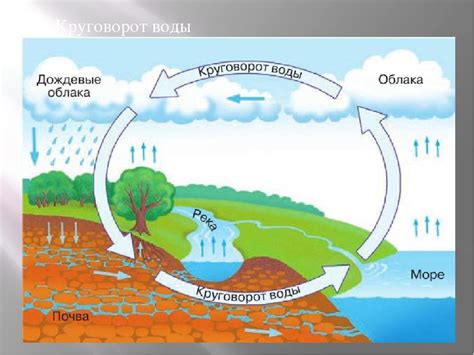 Опиши круговорот воды в природе.(как происходит) - Школьные Знания.com