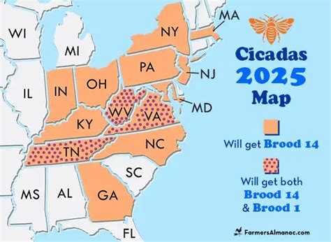 Attack Of The Cicadas 2025 Map Faq And Tips Farmers Almanac Plan