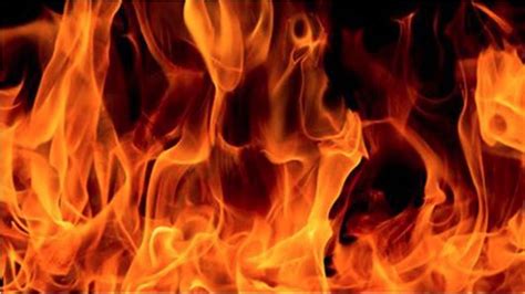 Ruby Gymnastics Academy Etc