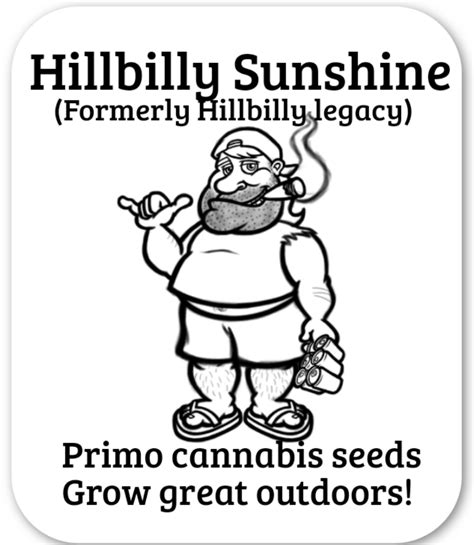 Candy Factory Hillbilly Sunshine Cannabis Strain Info Seedfindereu