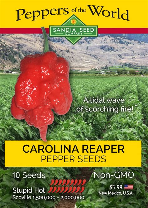 How To Grow Carolina Reaper Sandia Seed Company