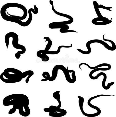 Python Stock Illustrations 28773 Python Stock Illustrations Vectors