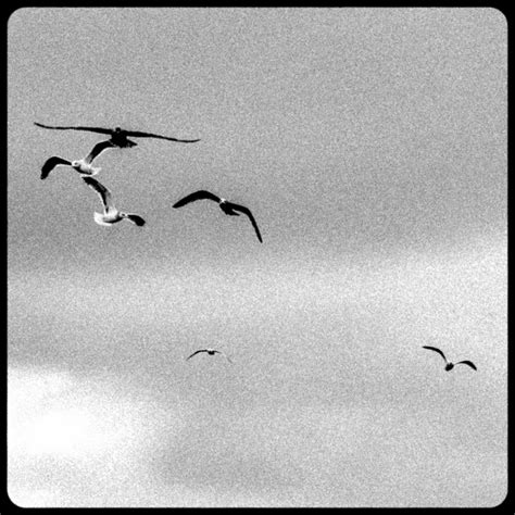 The Deadwater Blog Keith Mccafferty The Official Website Of Keith Mccafferty