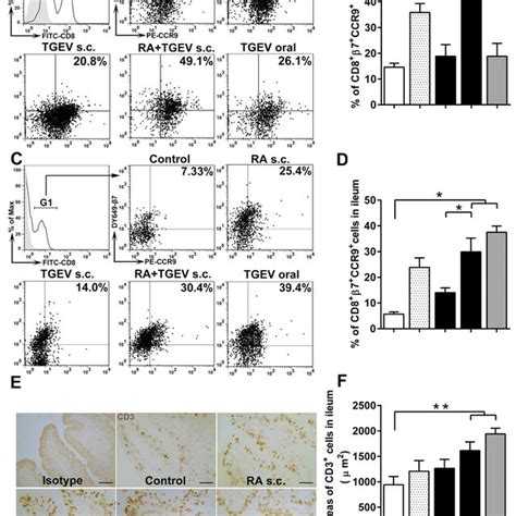 Normal B Cell Development And Memory B Cell Formation In Gp49b 22