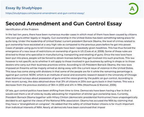 Second Amendment And Gun Control Essay