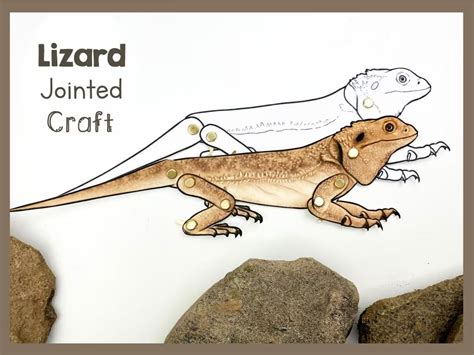 Articulated Lizard Craft Kit Printable Reptile Template Pdf Download