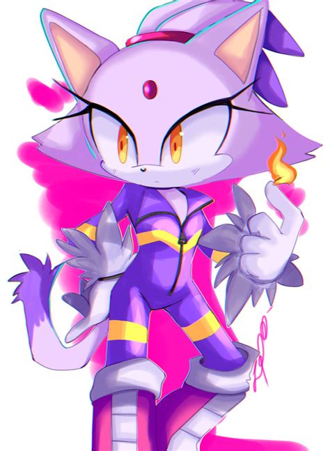 Nuinu 17 Blaze The Cat Blaze The Cat Riders Sonic Series Sonic Riders Zero Gravity