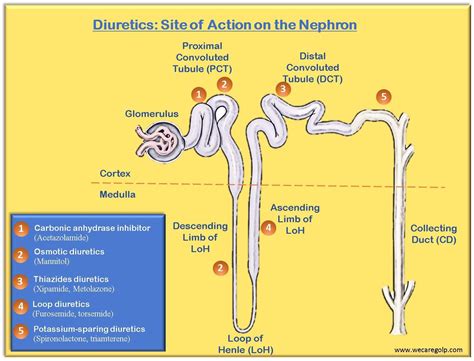 Diuretics We Care