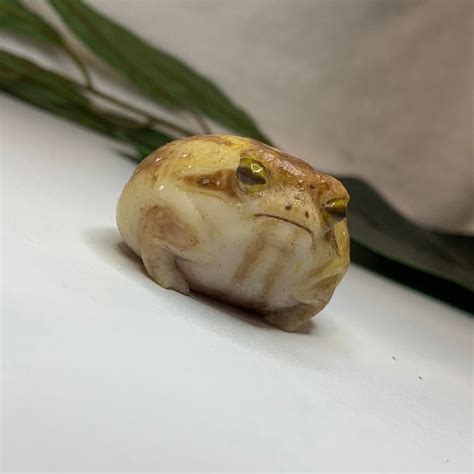 Rain Frog Squishy Silicone Toy Desert Rain Frog Etsy