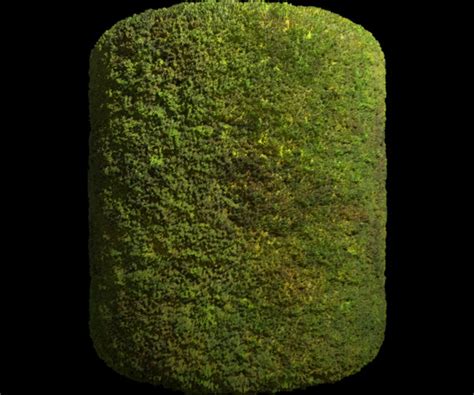 Artstation 73 Moss01 Game Assets