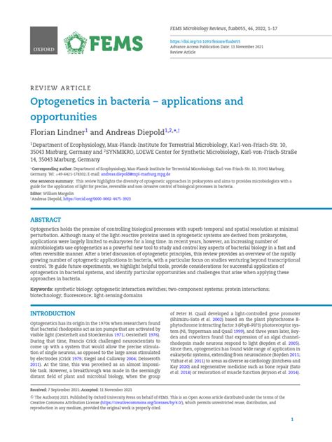 Optogenetics In Bacterial Control Pdf Gene Expression Proteins